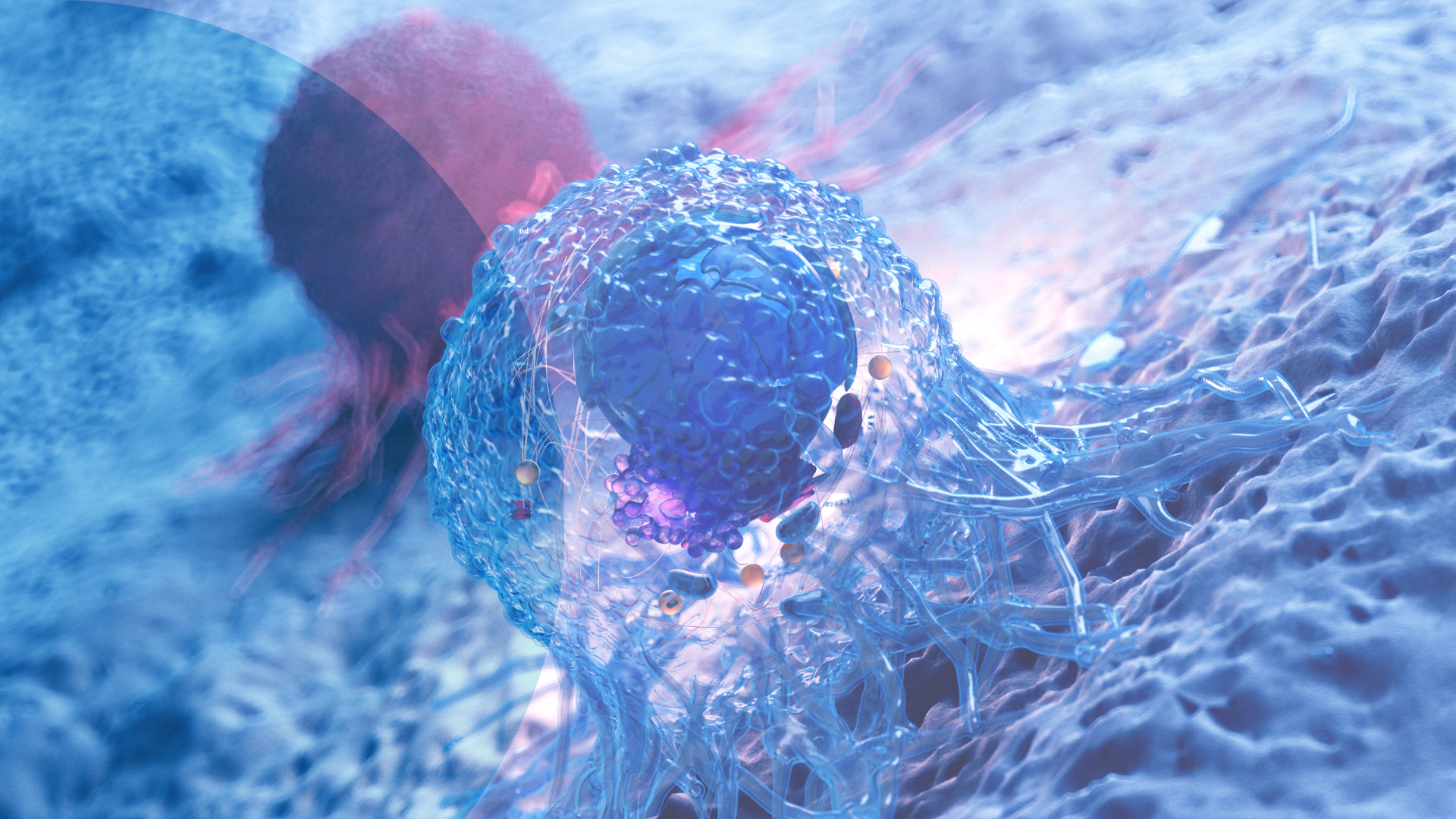 ITM Radiopharma: EANM 2025